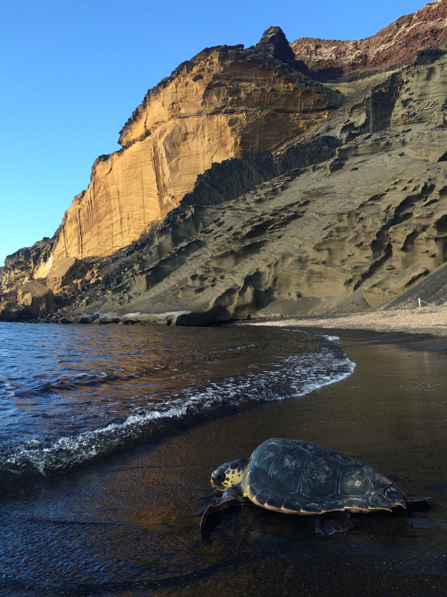 Linosa: The Secret Island of Sicily - Nest Italy