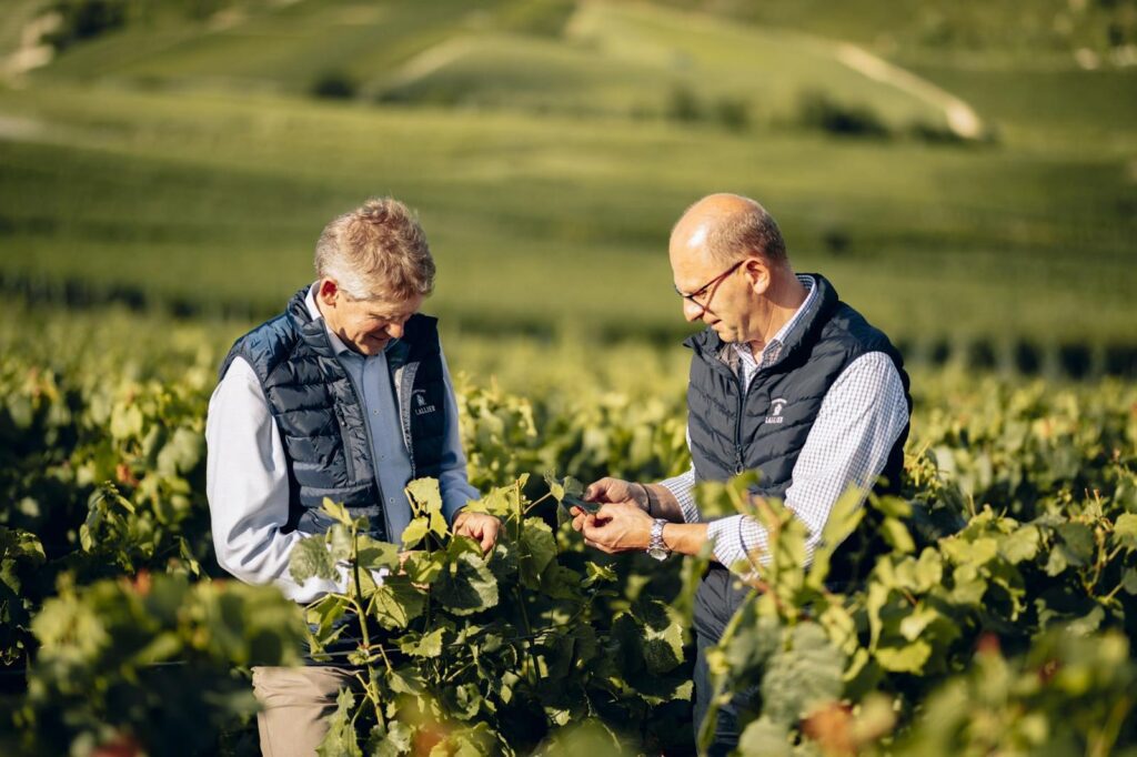 GRUPPO CAMPARI - Nest Italy GRUPPO CAMPARI - Nest Italy